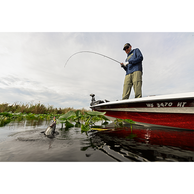 Legend Elite Panfish Series Rods – Jurofishing